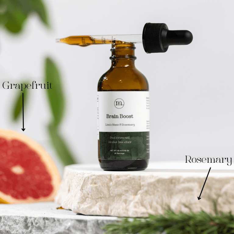 Brain Boost | Lion's Mane, Rosemary & Grapefruit elixir – Mushify