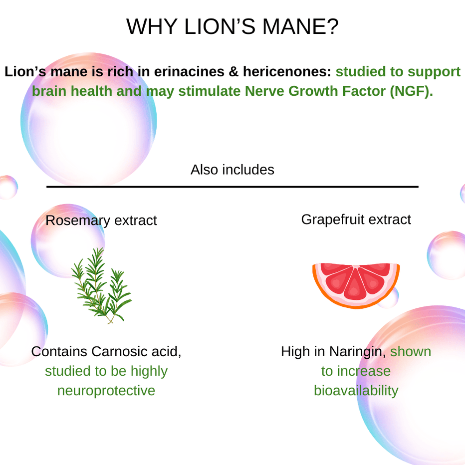 Brain Boost | Lion's Mane, Rosemary & Grapefruit elixir – Mushify