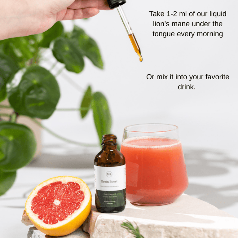 Brain Boost | Lion's Mane, Rosemary & Grapefruit elixir – Mushify