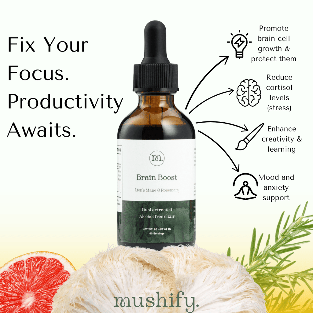 Brain Boost | Lion's Mane, Rosemary & Grapefruit elixir – Mushify
