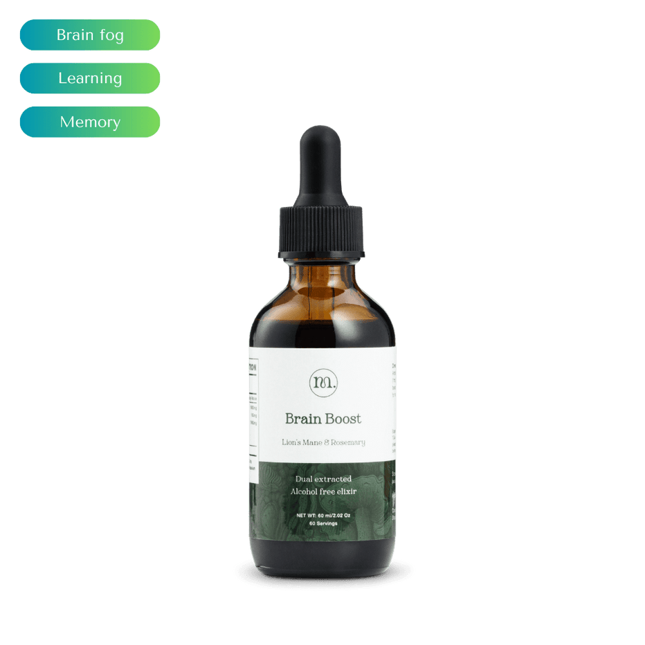 Brain Boost | Lion's Mane, Rosemary & Grapefruit elixir – Mushify