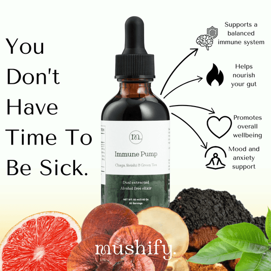 Mushify, alcohol-free mushroom elixirs | FREE Aus Shipping