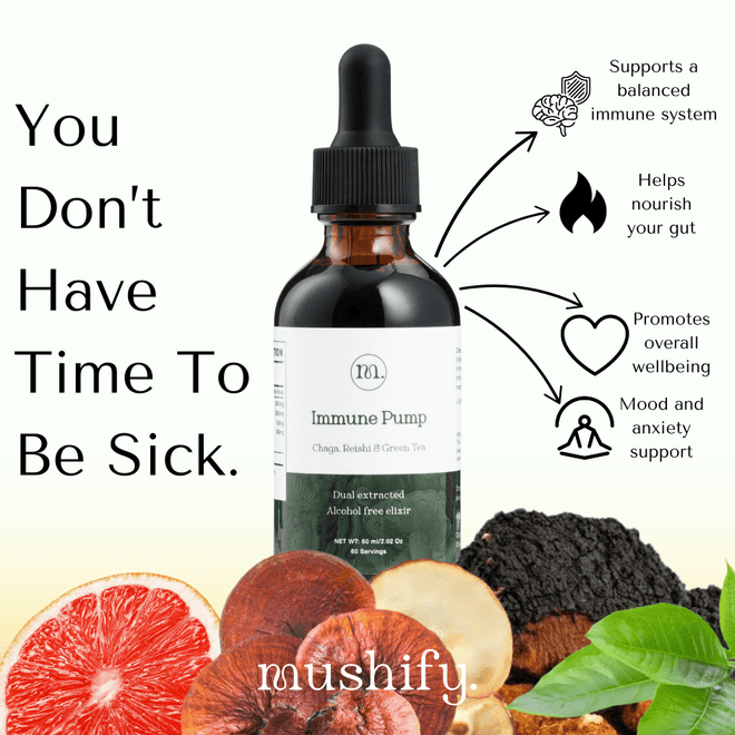 Mushify, alcohol-free mushroom elixirs | FREE Aus Shipping