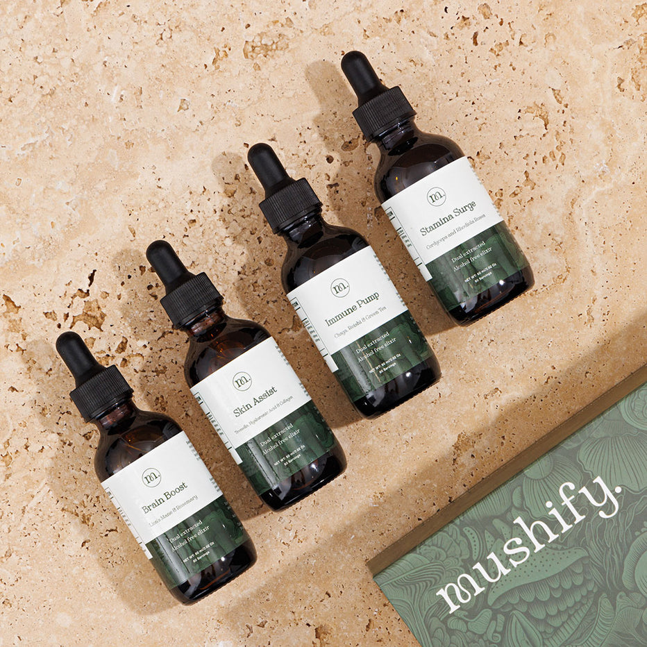 Premium synergistic health elixirs - Mushify - Free shipping over $100